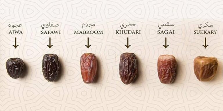 Top Food Mentioned in Quran | Islamic Diet - MOHID